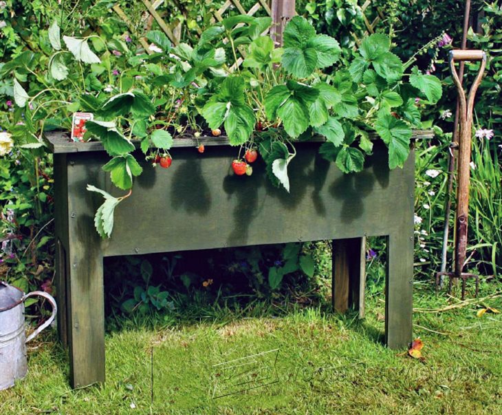 Strawberry Planter Plans • WoodArchivist